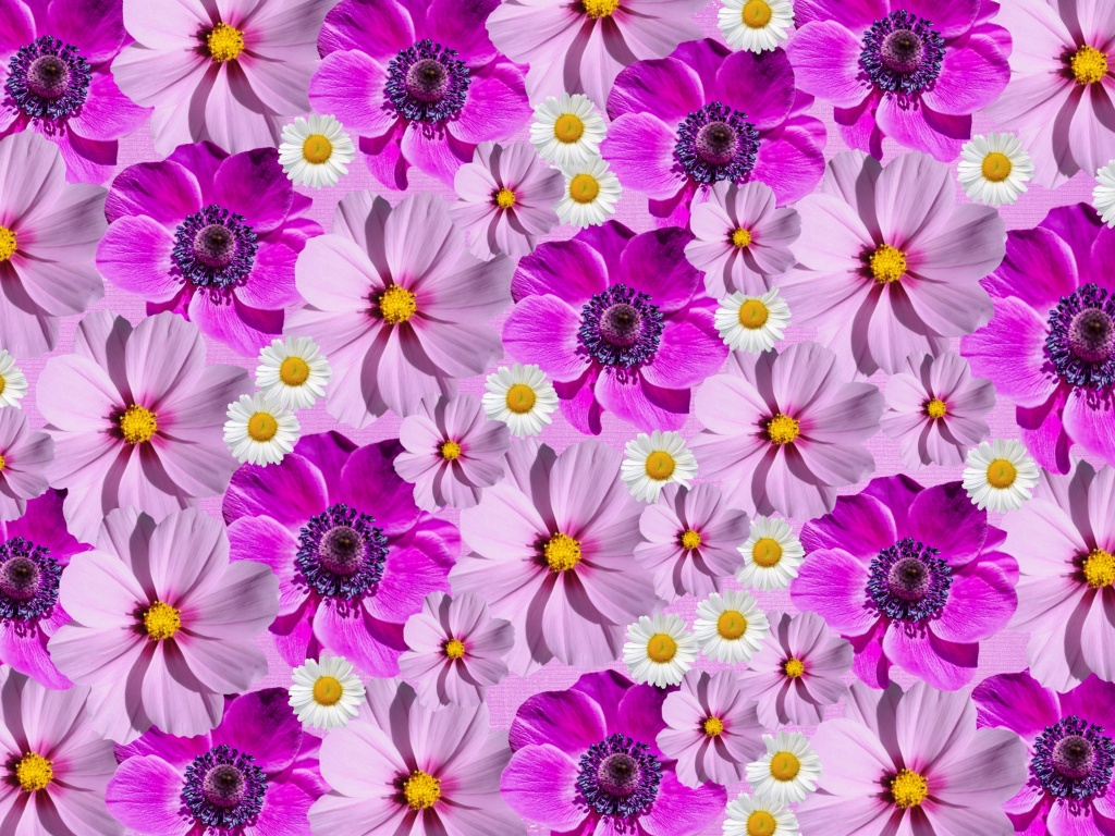 Beautiful Flowers Background Wallpapers