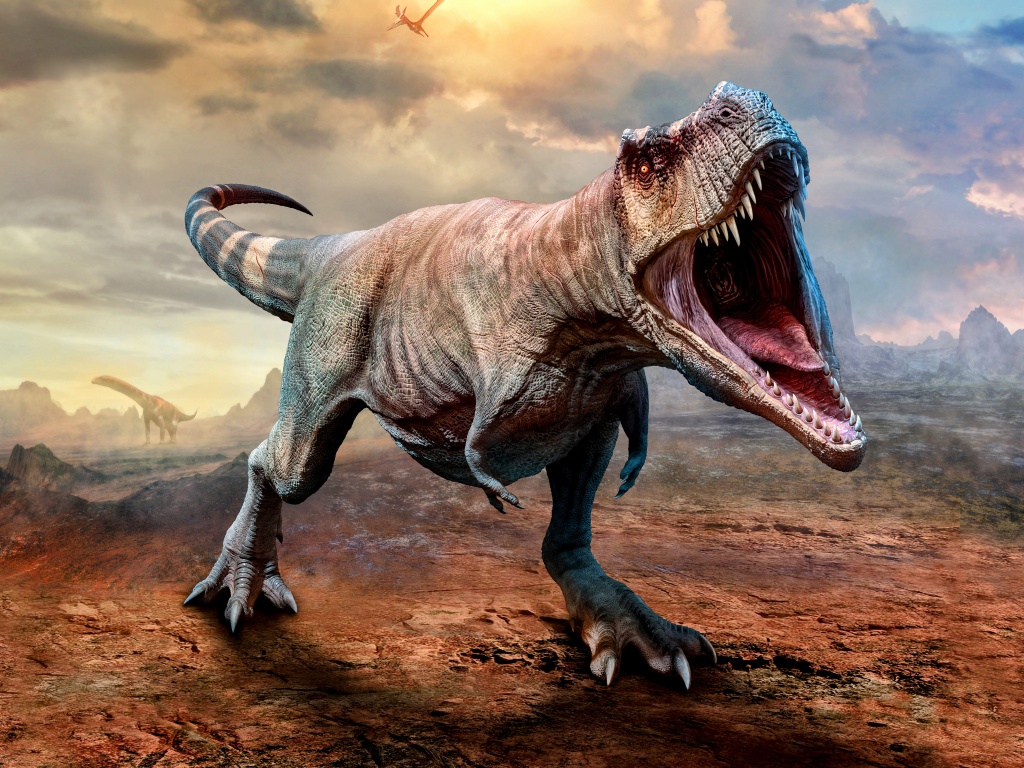 Tyrannosaurus Wallpaper 4K, Dinosaur, T Rex, 5K, 8K